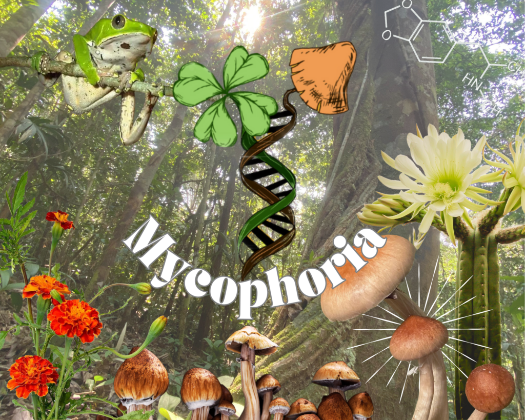 Change is possible through nature and courage - Mycophoria
